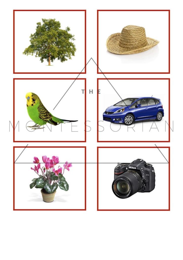 Living and Non-Living Sorting Cards (PDF) – The Montessorian