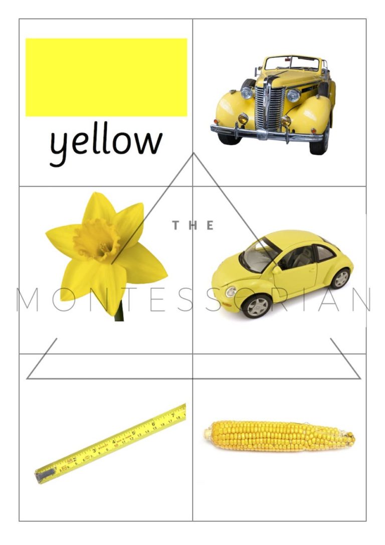 Primary Colour Sorting Cards (PDF) – The Montessorian