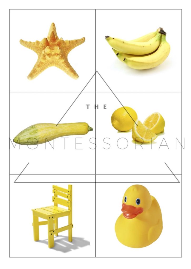 Primary Colour Sorting Cards (PDF) – The Montessorian